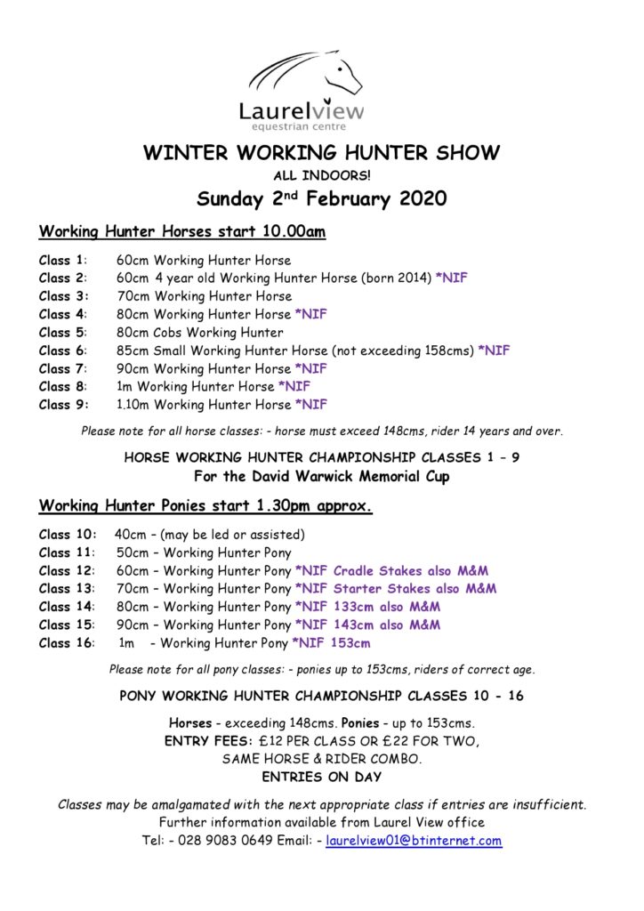 WORKING HUNTER SHOW 2020 | Laurelview | Laurelview